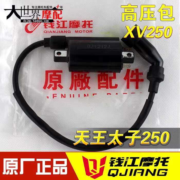 Qianjiang Original Parts QJ250-H High Voltage Pack Yamaha King Prince ...