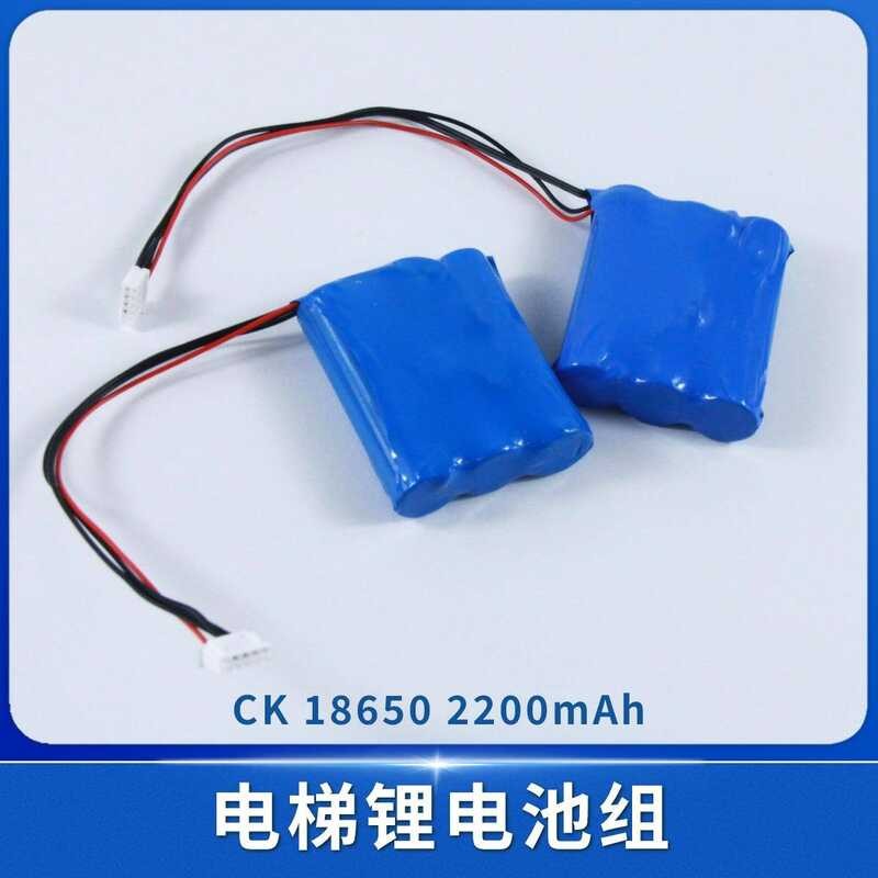Elevator RKP220/12 Emergency Lighting Power Supply Lithium Battery Pack ...