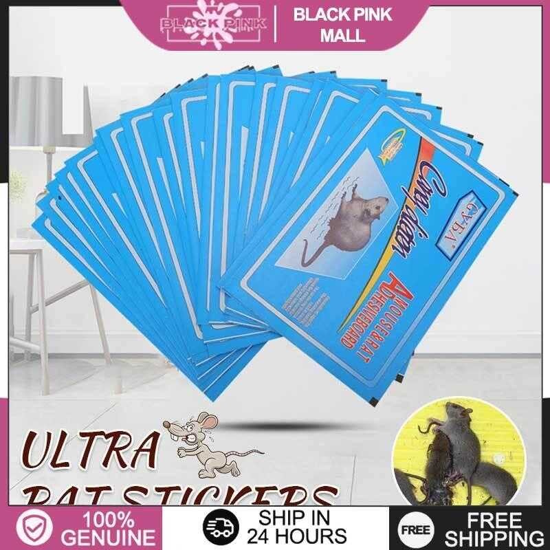 BP MALL [20Pcs] Sticky Mouse Gum Board Bait Trap Paradise Glue Rat E3f ...