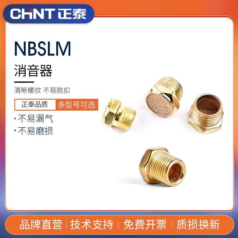 Chint Solenoid Valve Silencer SLM Flat Head Silencer Pneumatic ...