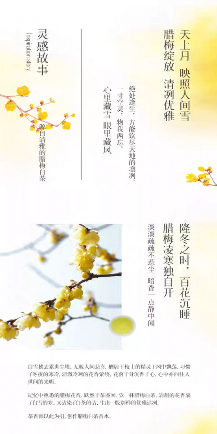 [Official Authentic] Chasense Chasense Master-Plum White Tea Fragrance ...