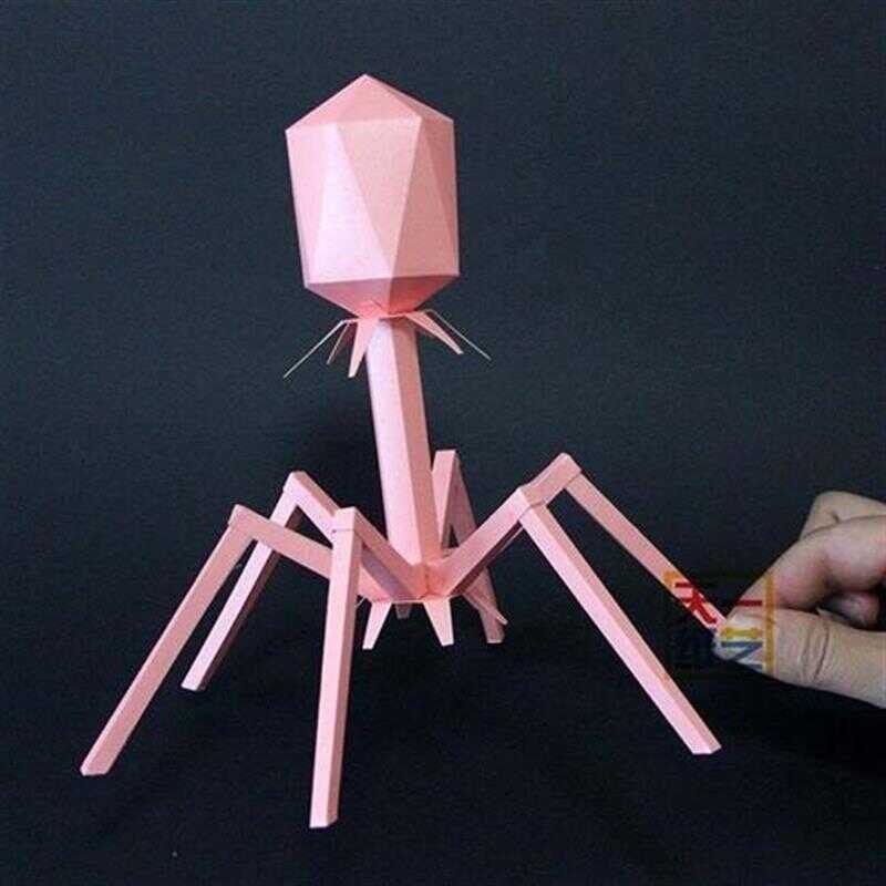 Phage Paper Model Handmade DIY 3D Human Cell Technology Small Craft ...