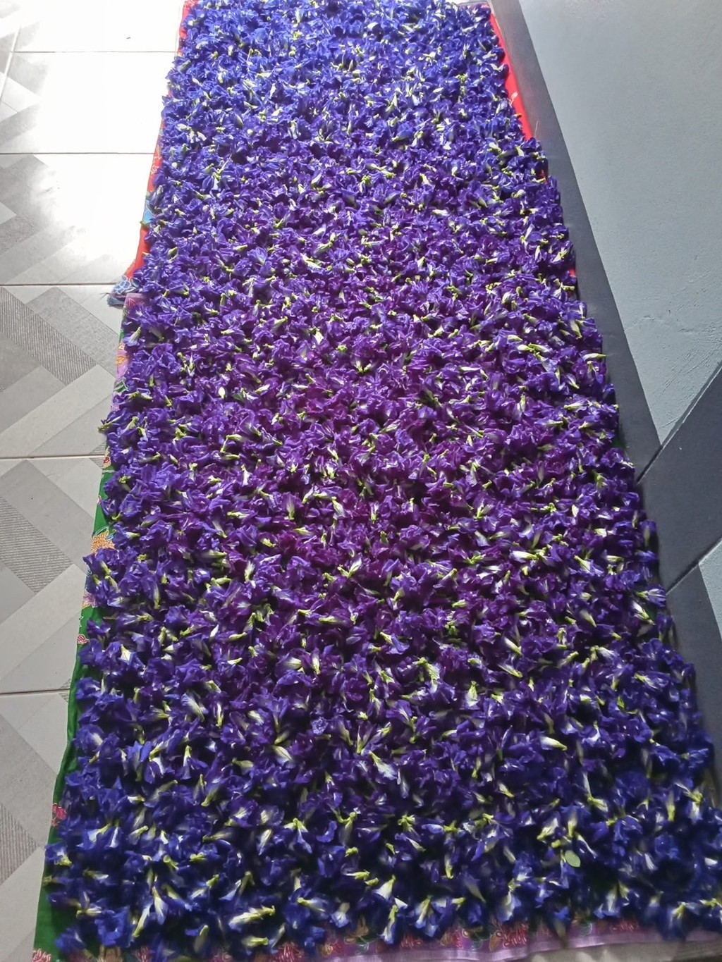 M 500 Grams Dried Butterfly Pea | Shopee Philippines