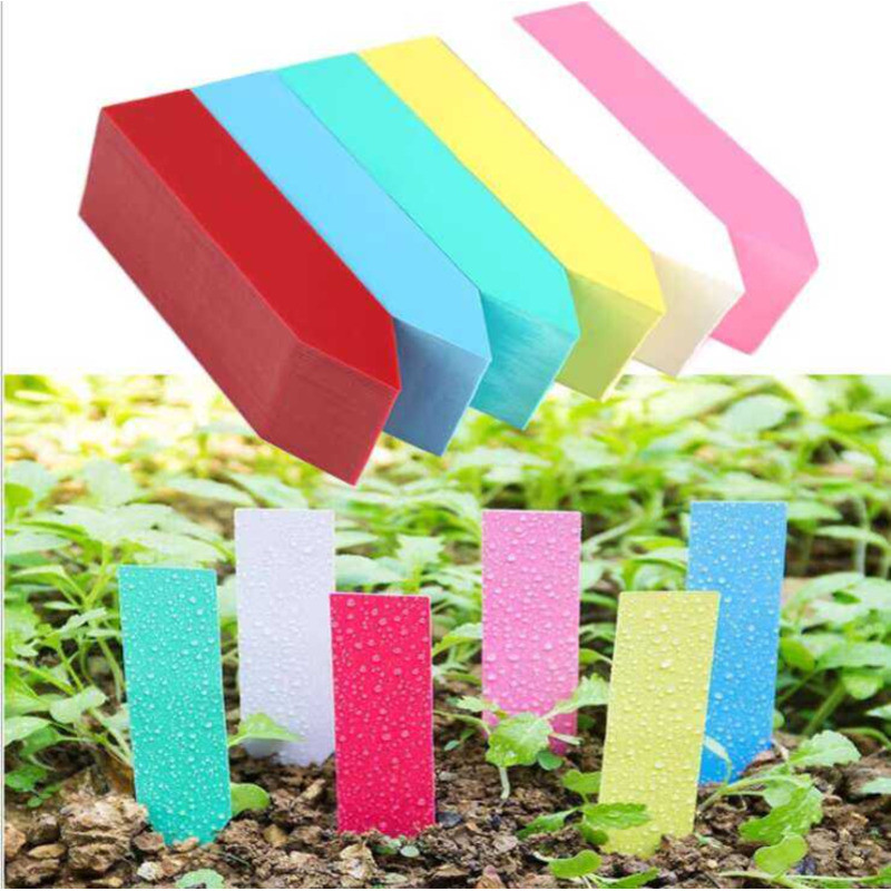 Arrow Style 10x2cm Garden Ground Labels Plant Name Handwritten ...