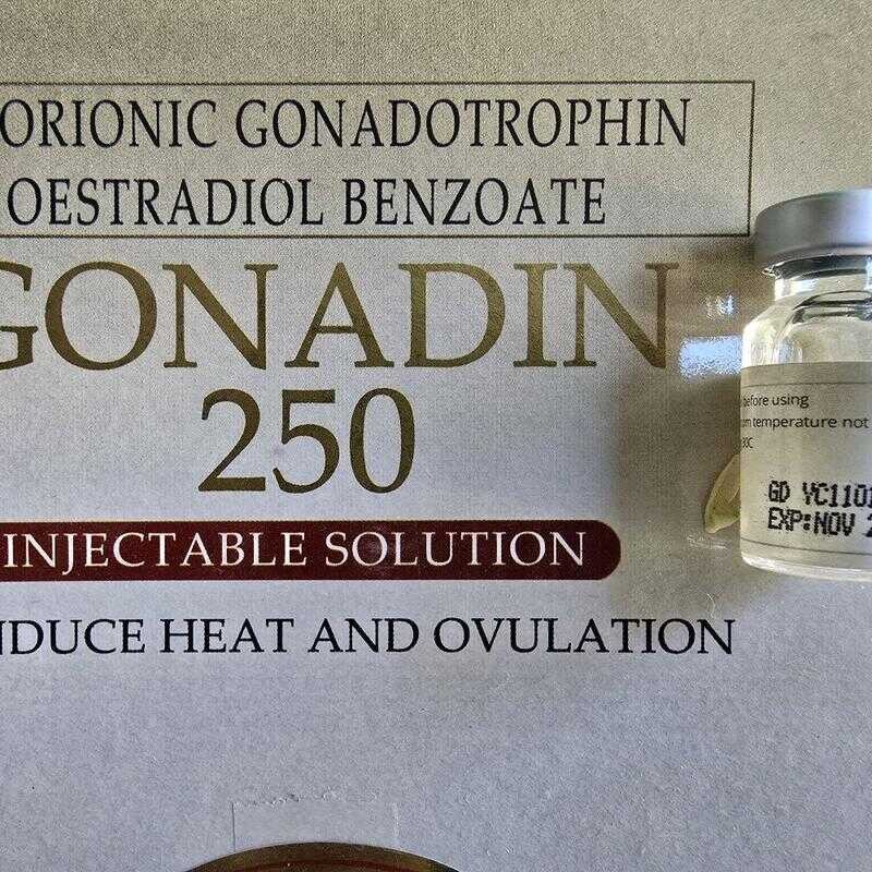 69B TRYCO Gonadin 250 Injection Solution For Breeding Difficulties (2Ml ...