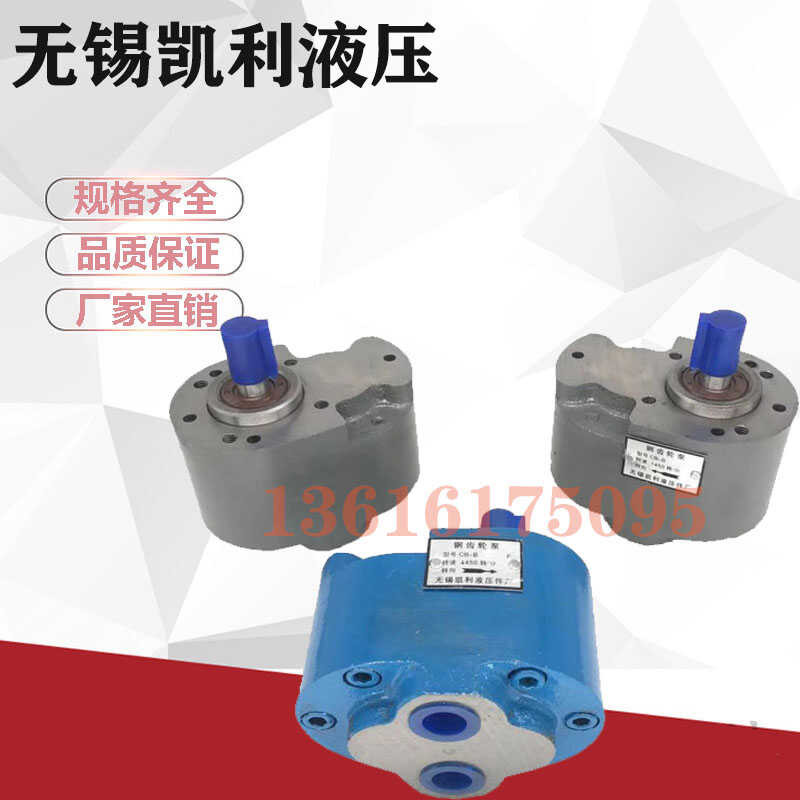 Premium CB-B40 CB-B50 CB-B63 CB-B40F Wuxi Kaili Hydraulic Steel Gear ...