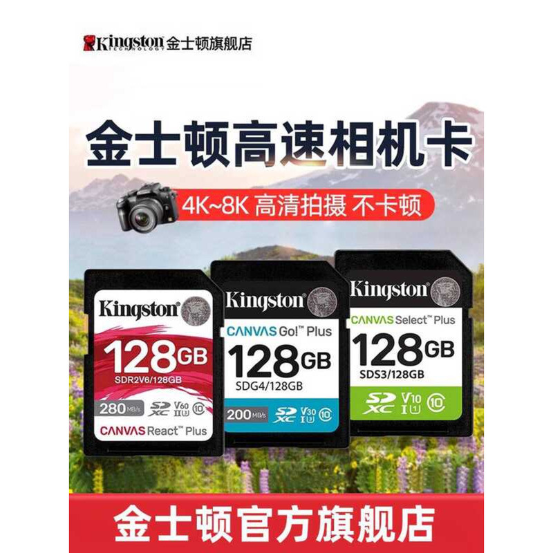 Kingston 128GB Camera Memory 256GB HD 4K Compatible with Sony Canon ...