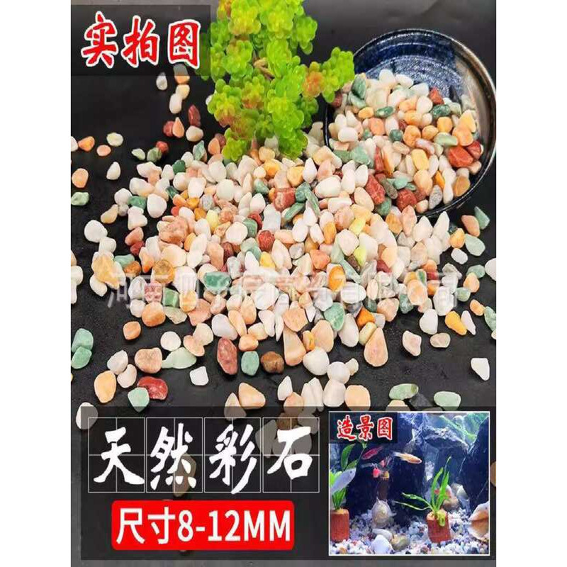 Natural Native Small Pebbles Fish Tank Landscaping River Stream Sand ...
