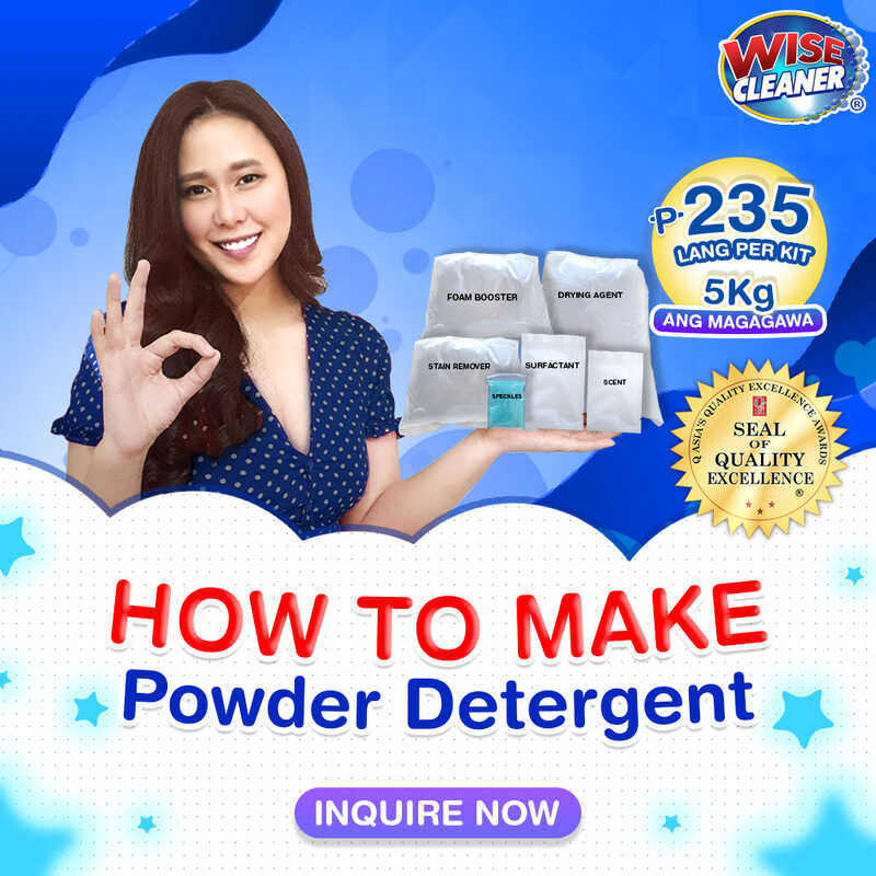 6Bb PREMIUM POWDER DETERGENT KIT WISE CLEANER | Shopee Philippines