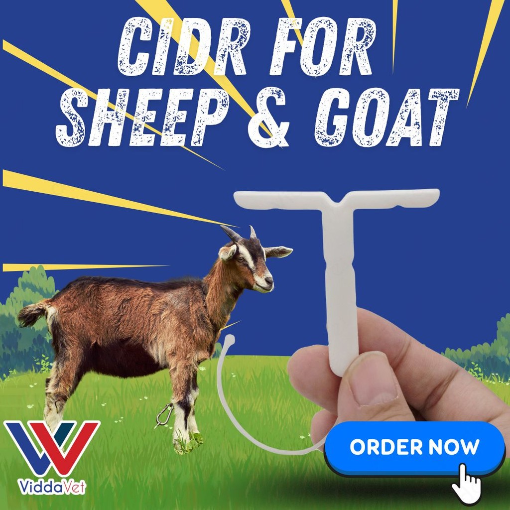 Goat and Sheep Cycle Timing Product for Breeding Planning | Shopee ...