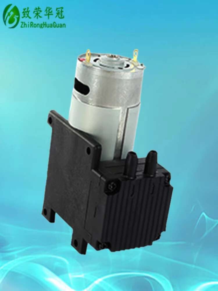 Mini Vacuum Pump 555 Negative Pressure Pump 24V Small Booster Pump 12V ...