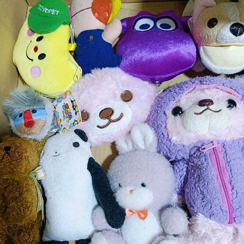 Quality And Affordable Charms Stuffed Toys Check Out Only 06B | Shopee ...