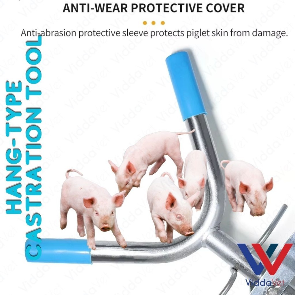 Stainless Steel Piglet Support Rack for Farrowing Crate Use | Shopee ...