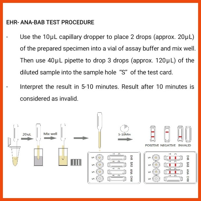 EHR/ANA/BAB/CHW (4in1) Dog Test Kit Combined (100% accurate) | Shopee ...