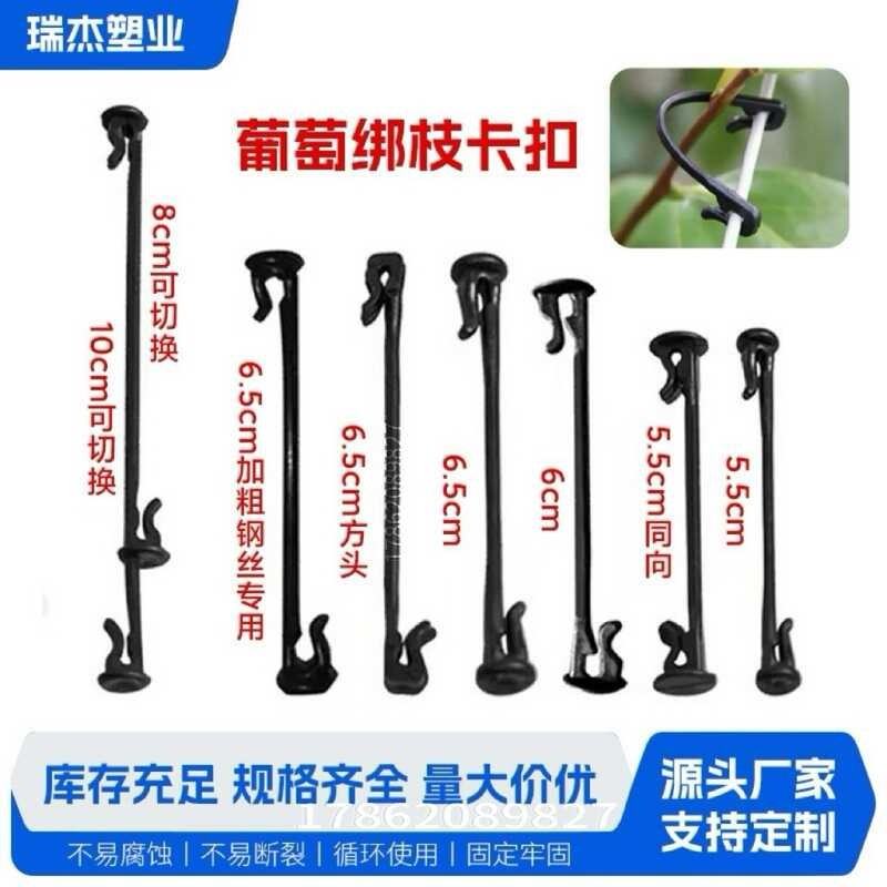 Grape Branch Binding Clips Hook Ties Kiwi Blueberry Plastic Hooks ...
