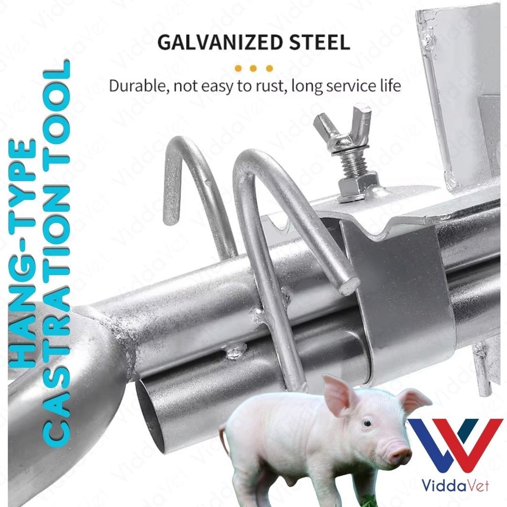 Stainless Steel Piglet Support Rack for Farrowing Crate Use | Shopee ...