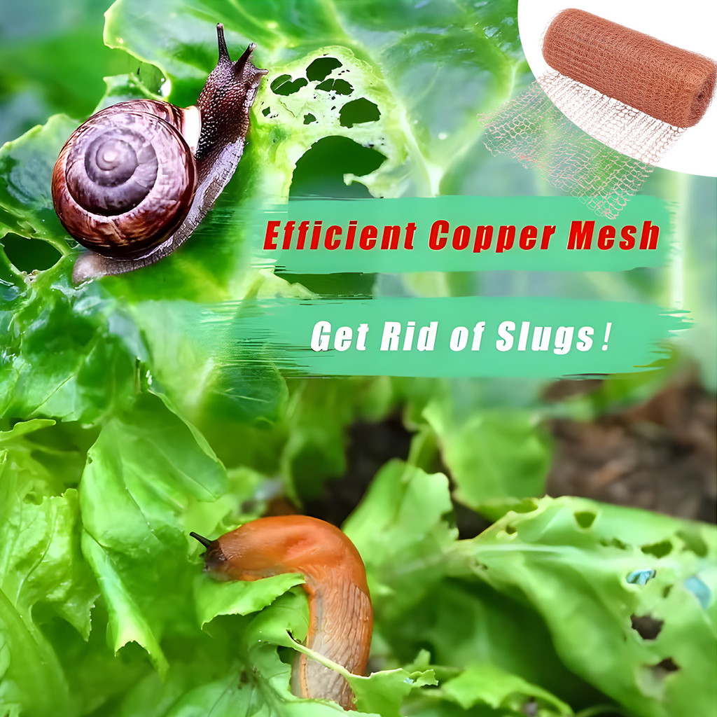 1/6/10m Anti-Pest Copper Mesh - Anti-snail Copper Wire Net -Hole Crack ...
