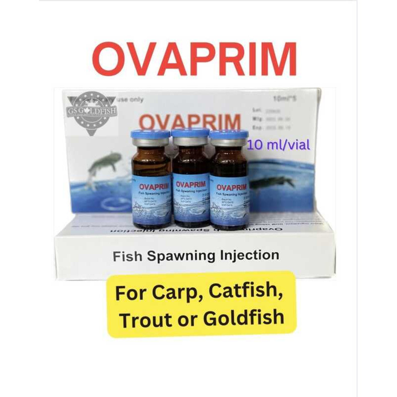 Ovaprim Fish Spawning Injection For Carp, Catfish, Trout, Goldfish ...