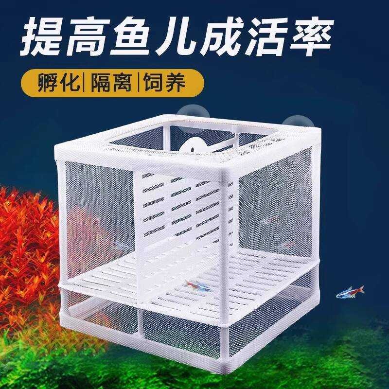 Tank Isolation Guppy Large Incubator Tropical Small Fish Fry Breeding ...