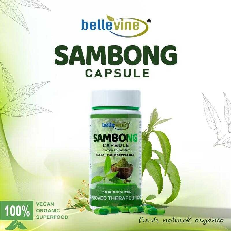 [Live Exclusive] Sambong Herbal Supplement Capsule - 250Mg X 100 ...