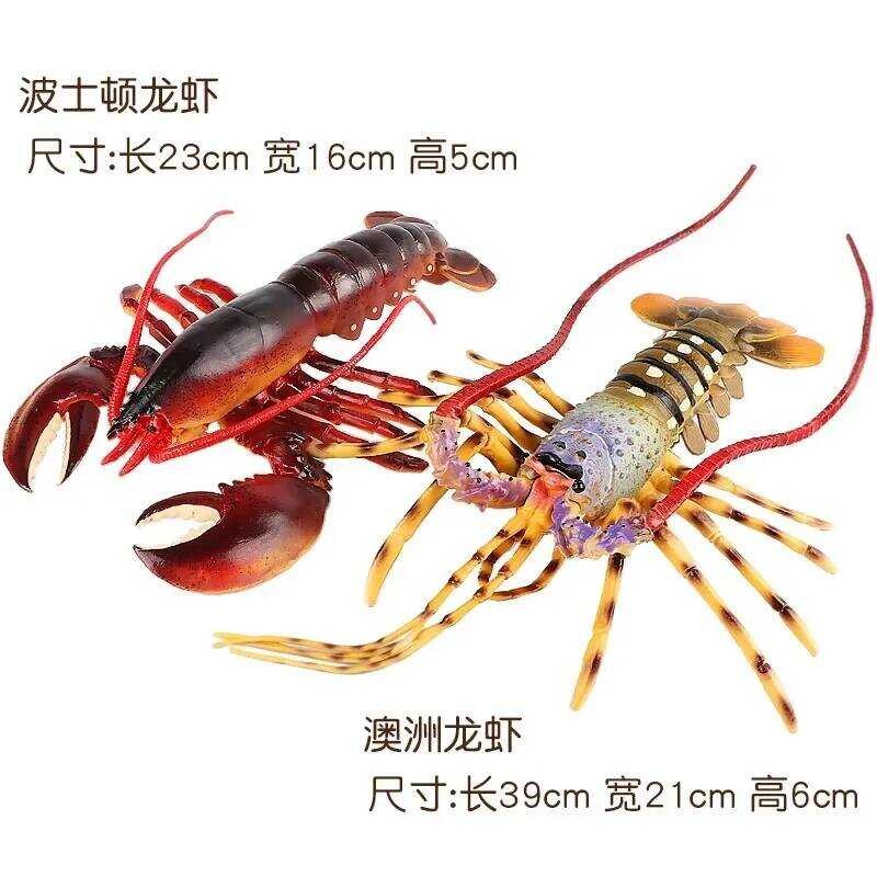 Artificial Lobster Simulation Lobster Model Large Australian Lobster ...