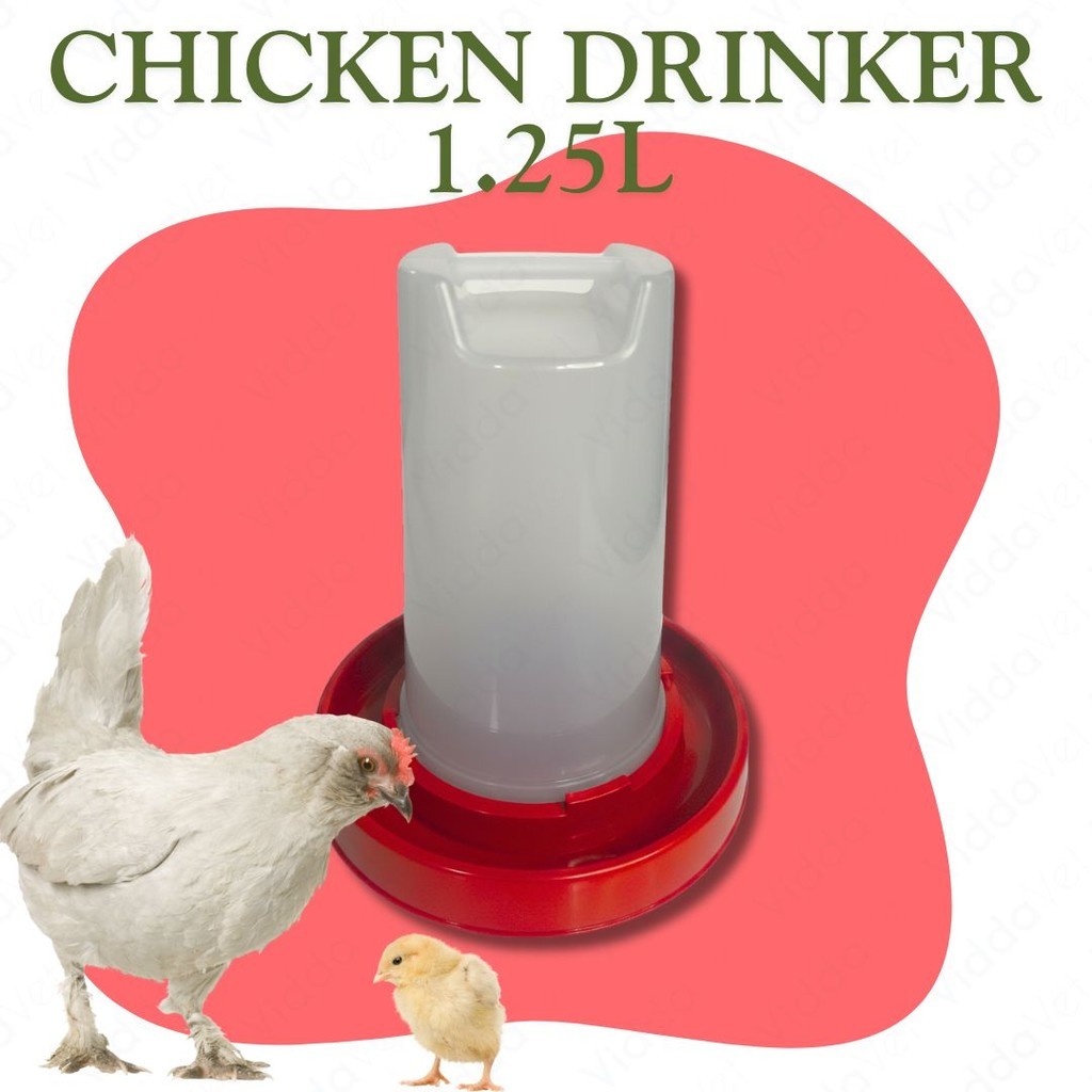 Chicken Drinker 1.25L Safe & Durable Water Container for chicks ...