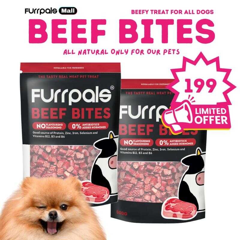 [2 Packs] Furrpals Beef Bites 500G Per Pack Pet Snack Treats Dog Cube ...