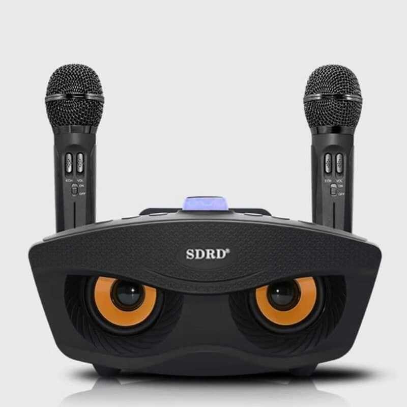Flashdeals SDRD Wireless Karaoke Speaker System With Dual Microphones ...