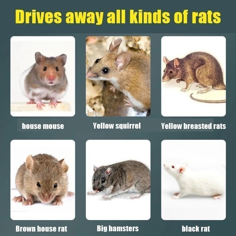 Mosquito&Rat Dual-Effect Repellent Balls: Powerfully Repel Rats and ...