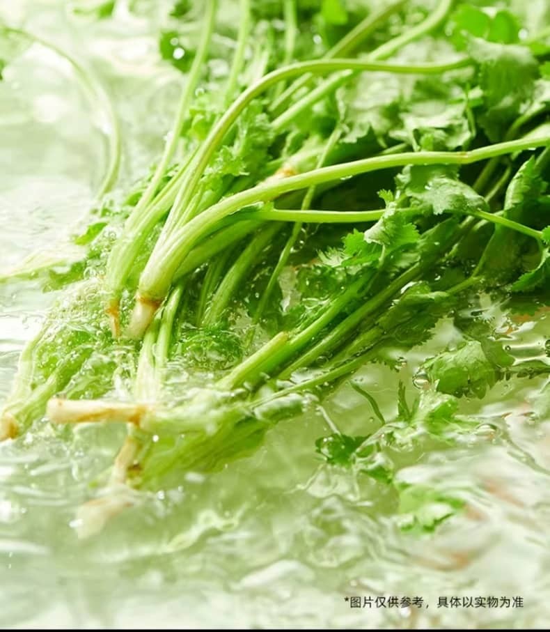 [White Elephant] Coriander Noodles Fragrant Fragrant Fragrant Flavor ...