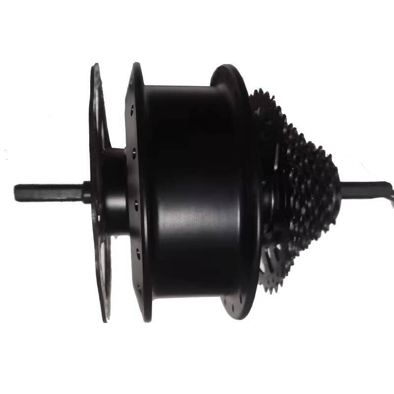 48V 750W Spoke Motor Variable Speed Bicycle Mountain Bike Conversion ...