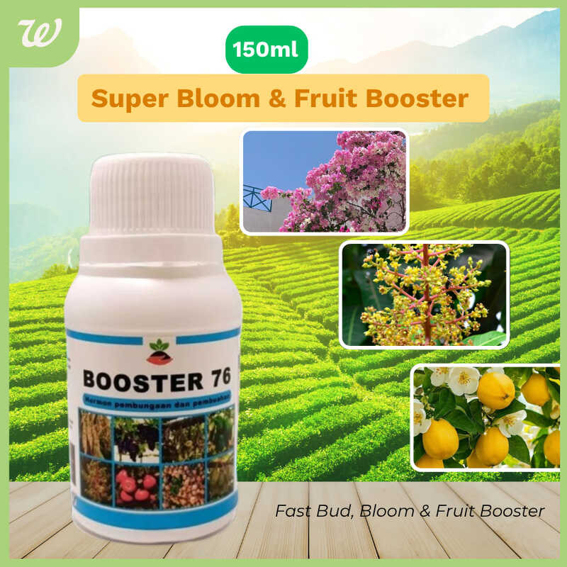 STIMULATE FRUIT BOOSTER 76 150Ml Organic Flowering & Fruiting Enhancer ...