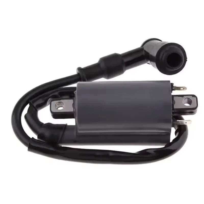 A90e-Ignition Coil Buyang 260 260Cc 300Cc D300 G300 Motors- Is It A Fit ...