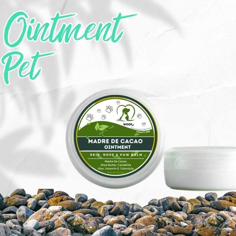 COD Of Spa Dog Ointment For Disease Gamot Sa Galis Ng Aso Healing ...