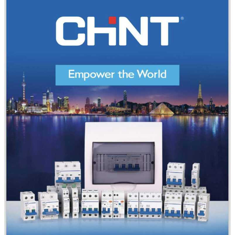 CHINT 2 Pole10a-100A MINIATURE CIRCUIT BREAKER 1Pole AND 2Pole Earth ...