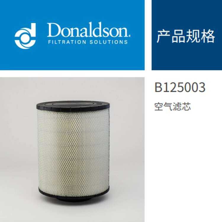 Donaldson Air Filter ECB125003 B125003 Generator Set () | Shopee ...