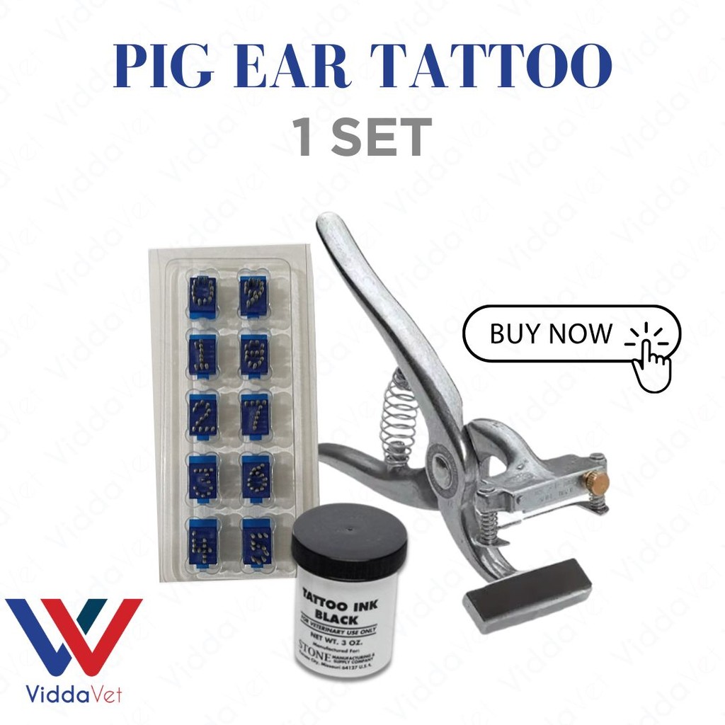 Pig Ear Tattoo Set with Ink a pig tattoo for Farm Identification in pig ...