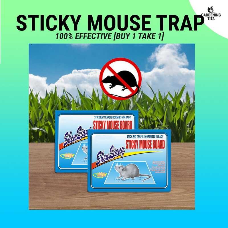 (B1t1) Sticky Mouse Rat Trap Catcher Anti Pandikit Sa Daga | Shopee ...