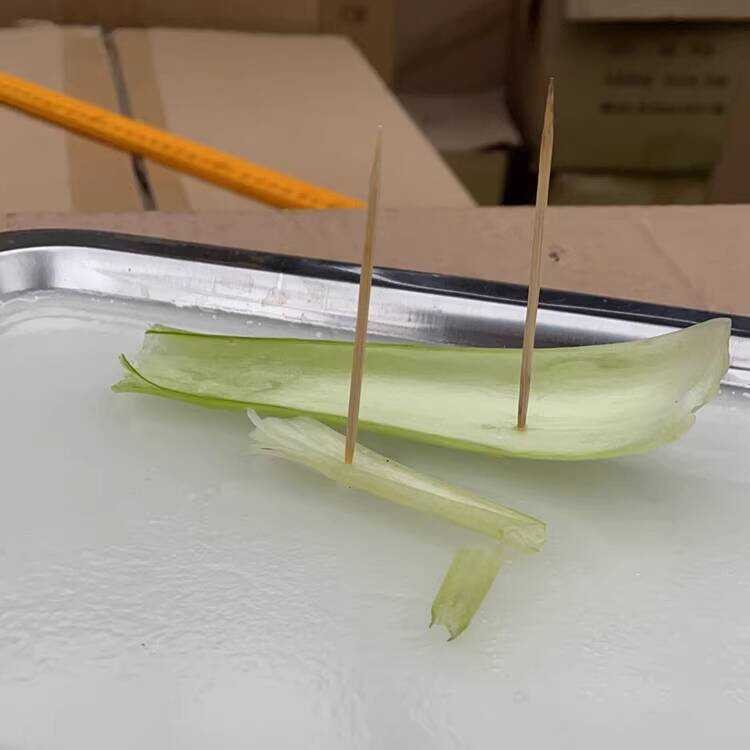 27003 Thickened Stainless Steel Dissection Tray Thickened Wax Tray Wax ...