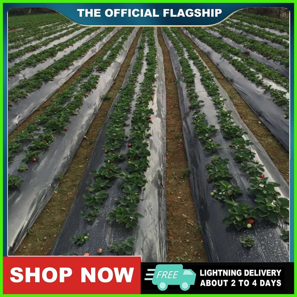 PLASTIC MULCH FILM 80CM X 600M (1 roll silver black) | Shopee Philippines