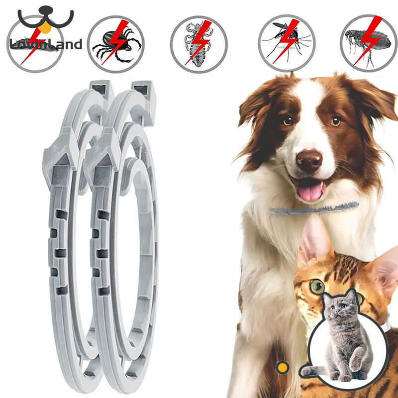Bayer Flea And Tick Collar For Dogs Cats Lasts Up To 8-Months Safe Pets ...
