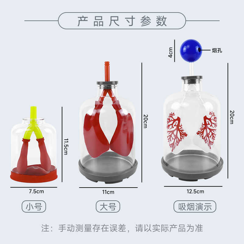 Lung Breathing Model Experiment Material Kit Diaphragm Movement Lung ...