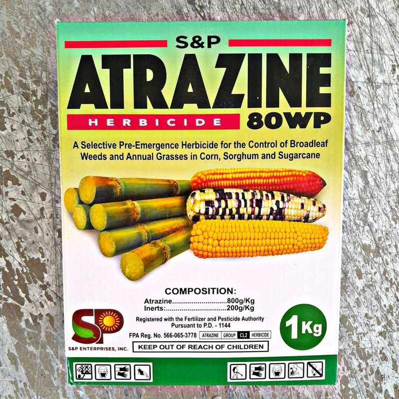 ATRAZINE 80Wp 1 KILO HERBICIDE By S&P 1Fb 2Ea | Shopee Philippines