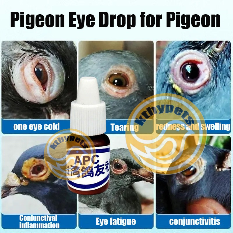 Victery Pigeon Eye Drops for Clean Eyes Taiwan Product One Eye Cold ...