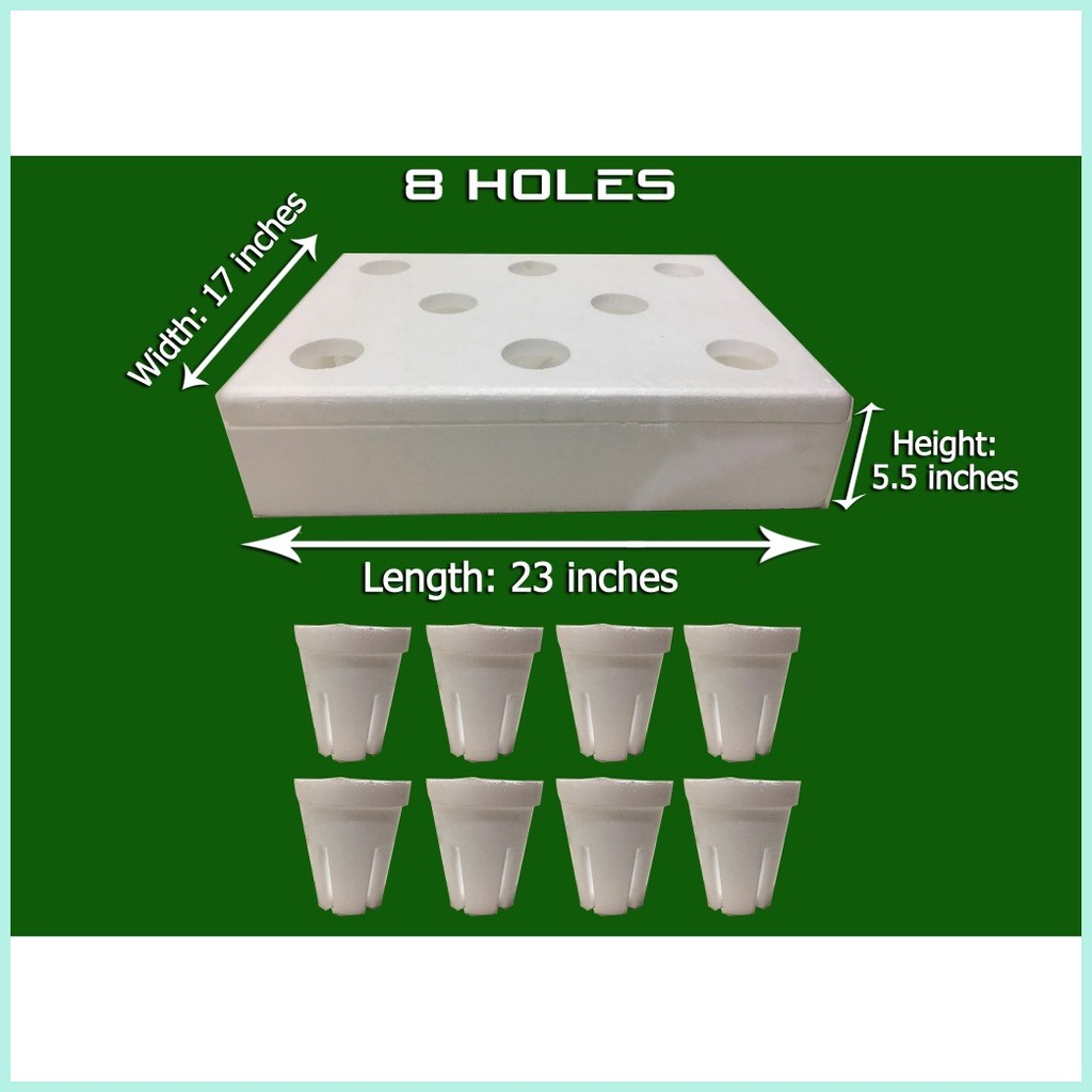 Hydroponics Tuna box Styrofoam with Free Cups | Shopee Philippines