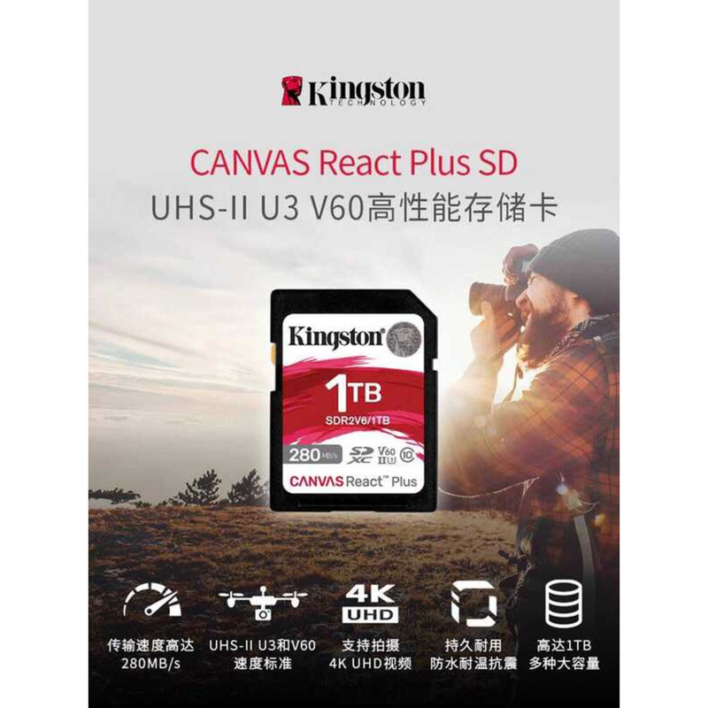 Kingston V60 High-Speed 128GB Memory SD Large 256GB Mirrorless DSLR ...