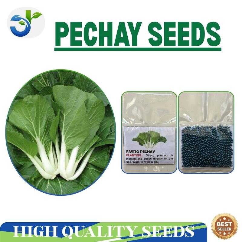 White Stem Pechay Seeds / Pavito - ( Pack Of 500Seeds ) Easy-To-Grow ...