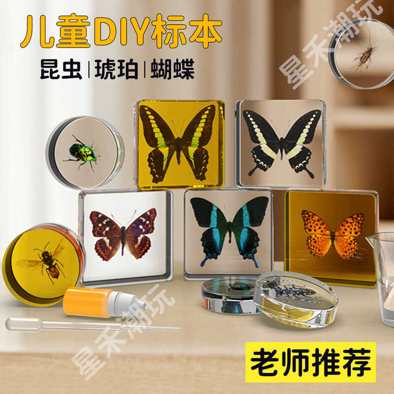 DIY Plant Insect Specimen Resin Bug Amber Butterfly Making Children's ...
