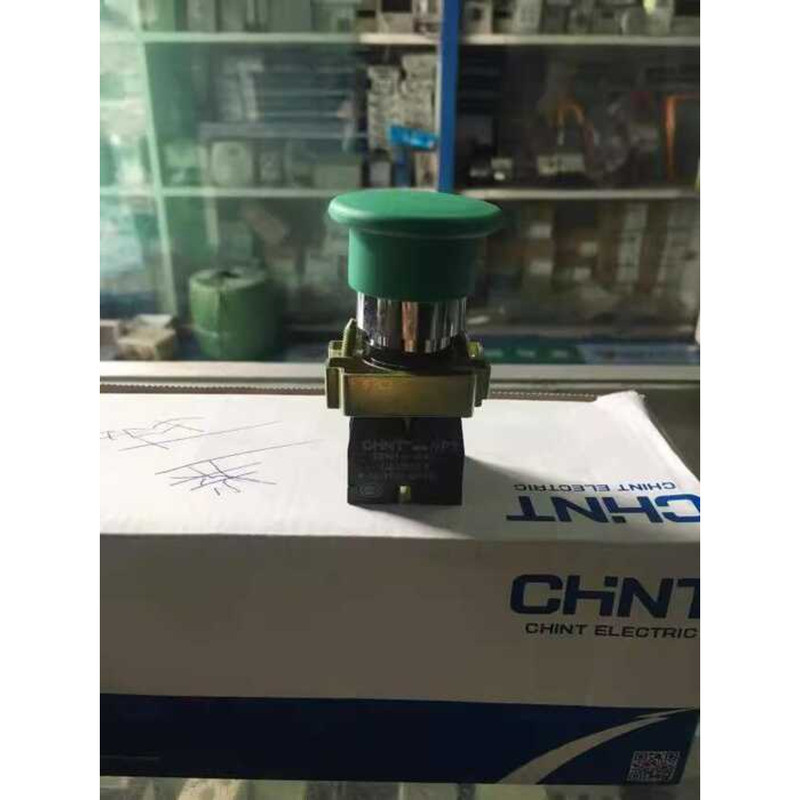Chint Green Mushroom Head Reset Button Switch NP2-BC35 Double Open 1 ...