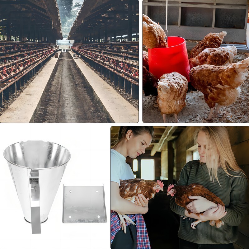 Conical Funnel Poultry Stop Cone Chicken Bleeding Cone Poultry ...